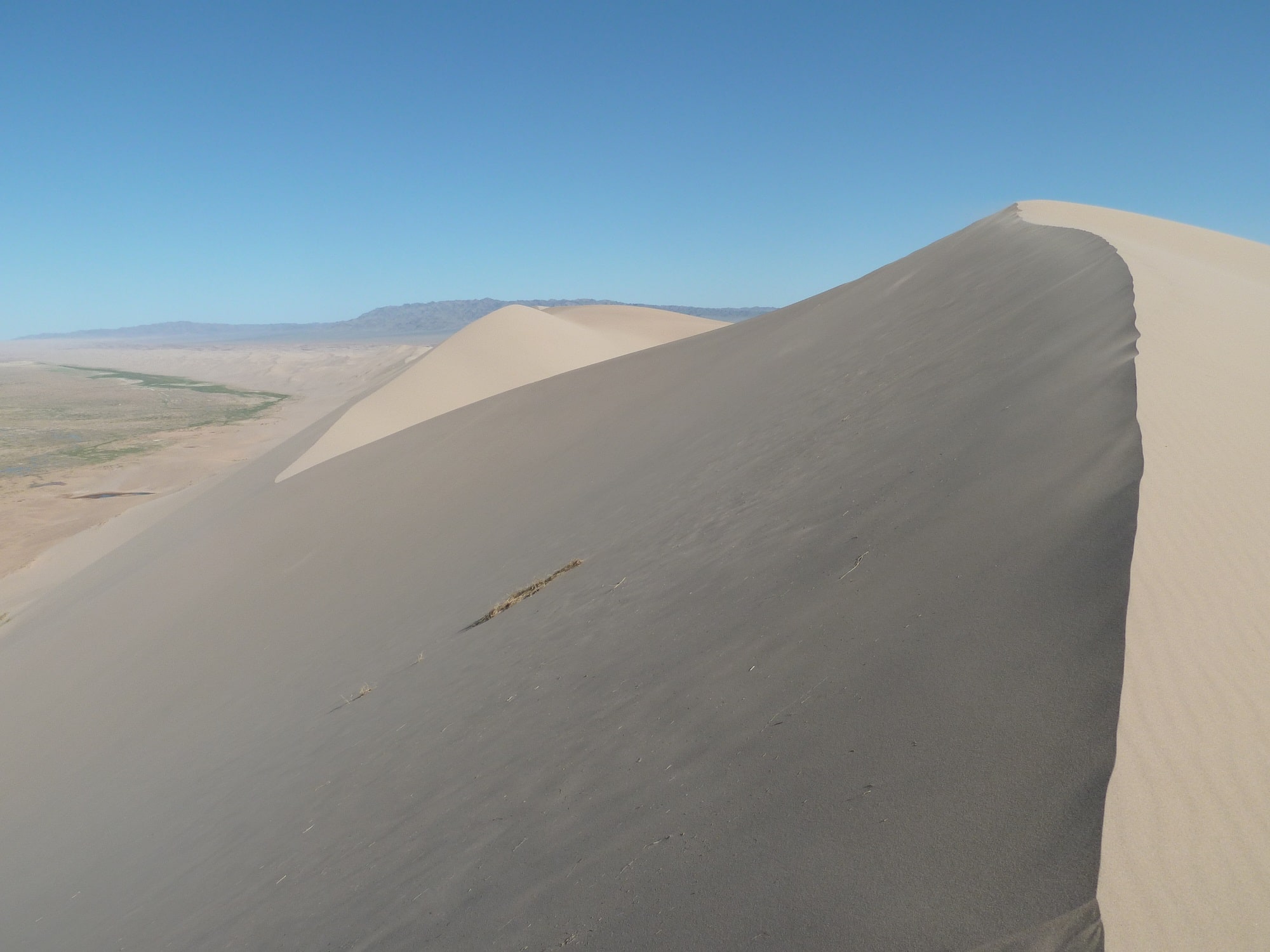 Désert de Gobi - Les Dunes du Khongor Els - Wood & Beers